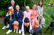 Emily wills xxx marlow shared her new ad and I was struck